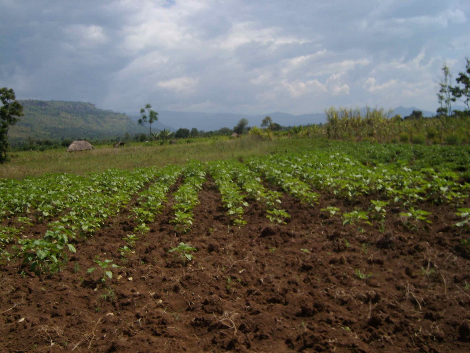 Geology for Global Development | Robert Emberson: Soil Erosion and ...