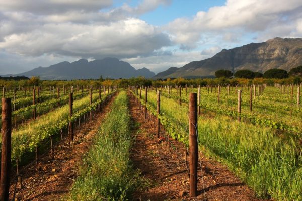 Geology for Global Development | The link between development and ...