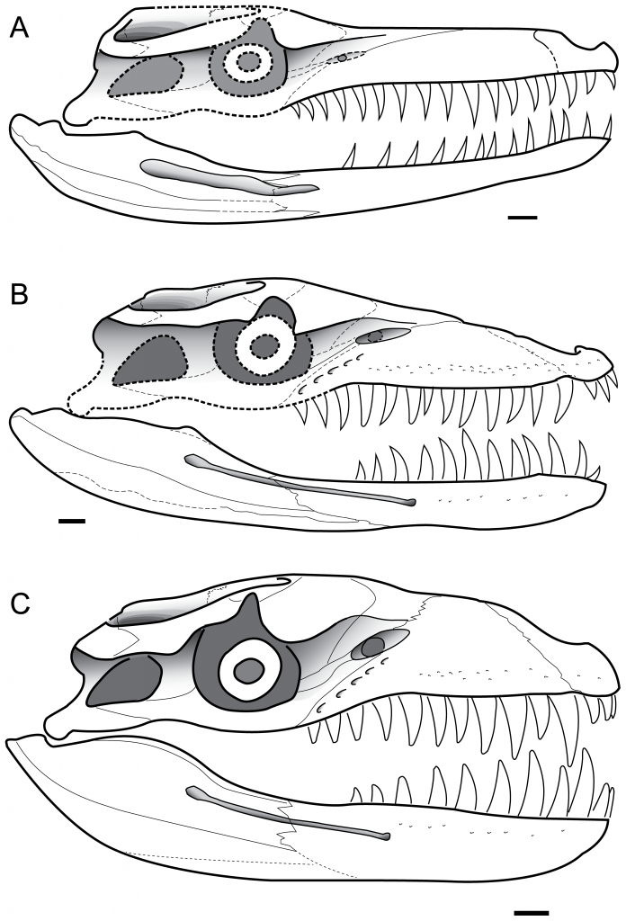 Green Tea and Velociraptors | Ancient crocodiles were a bit like killer ...