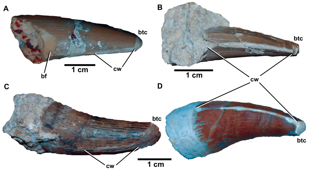 Green Tea and Velociraptors | Ancient crocodiles were a bit like killer ...