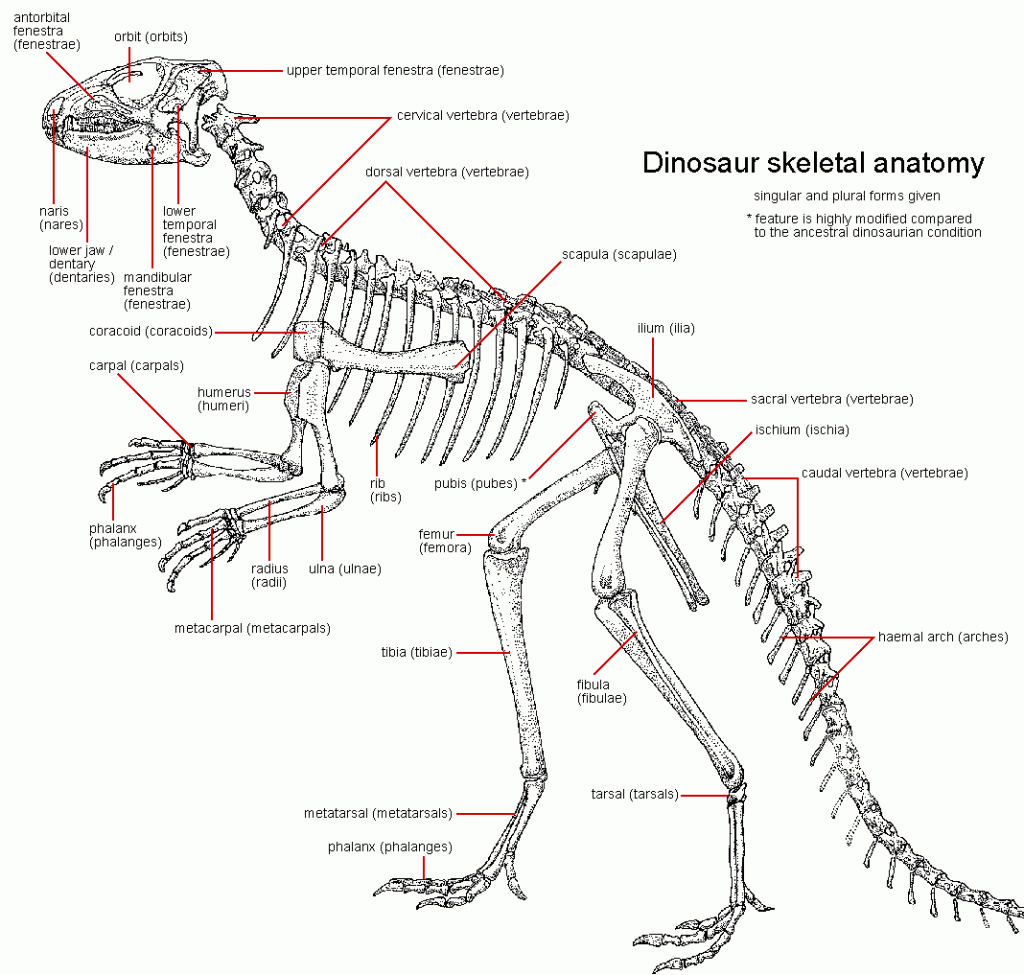 Green Tea and Velociraptors | Which direction to take!?