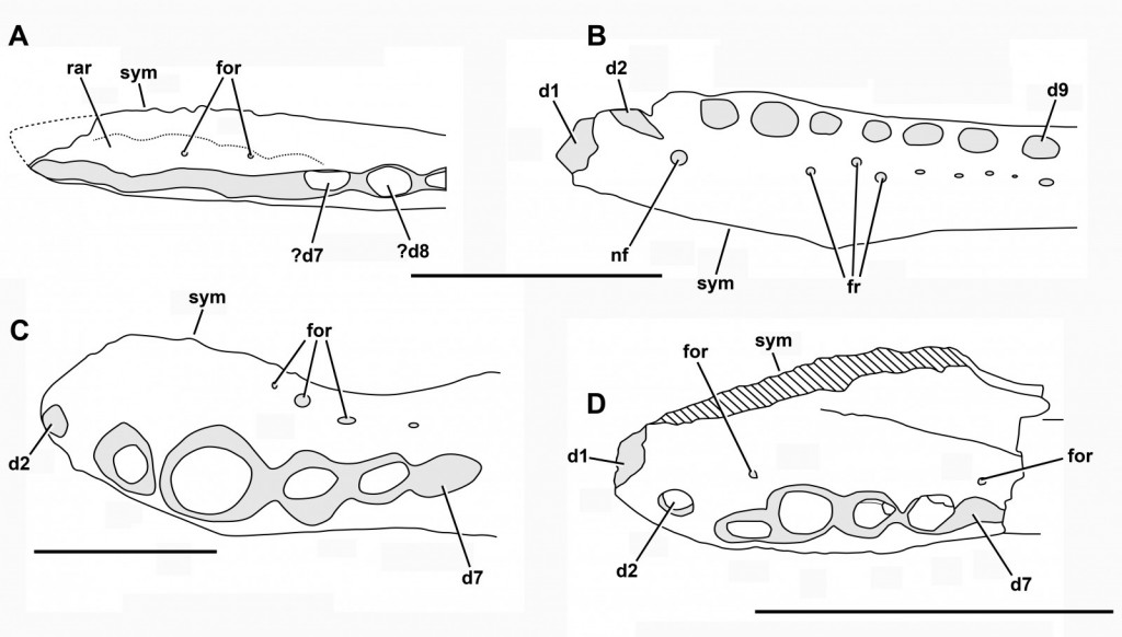 Green Tea and Velociraptors | Nessie dwarfed by new Scottish crocodile