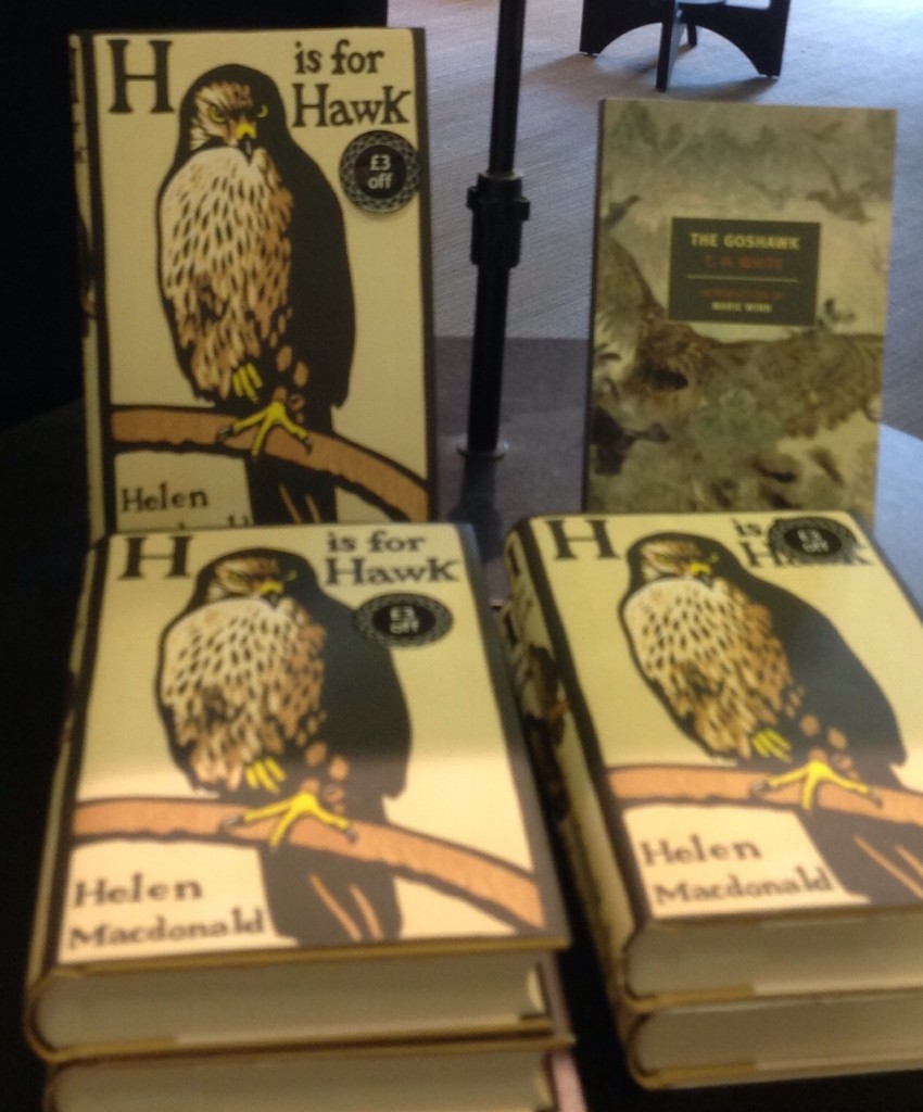 VolcanicDegassing | Summer Reading – H is for Hawk