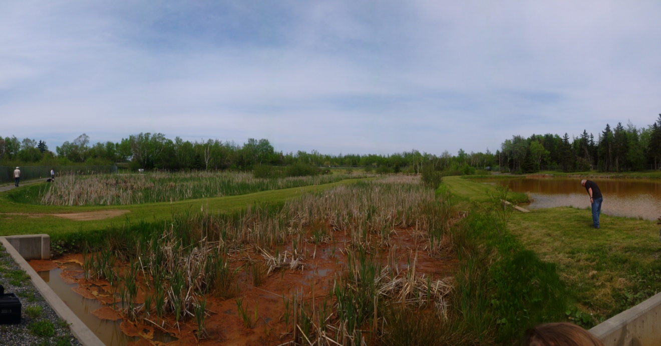 Water Underground | The home of our hearts day 3: The coal story ...