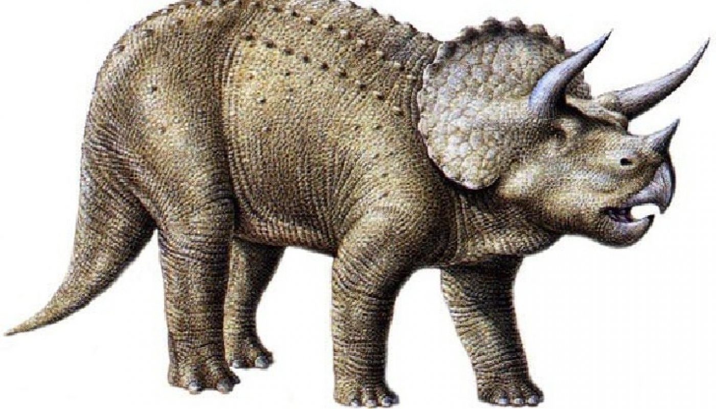 Water Underground | Global fossil groundwater resources—the grandkids ...